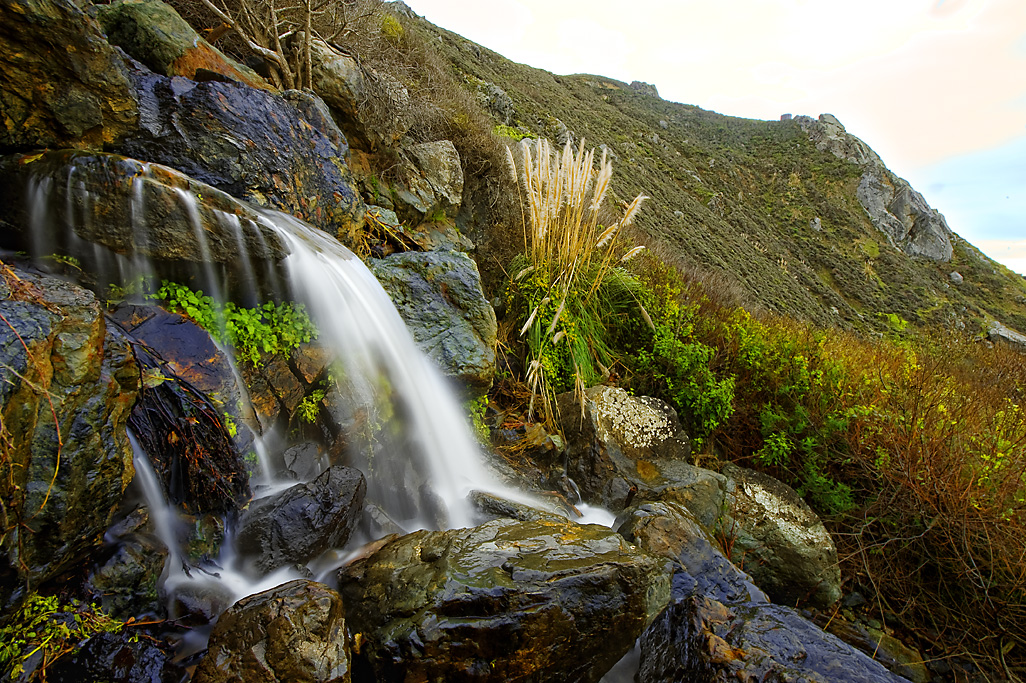 Mount Tamalpais State Park