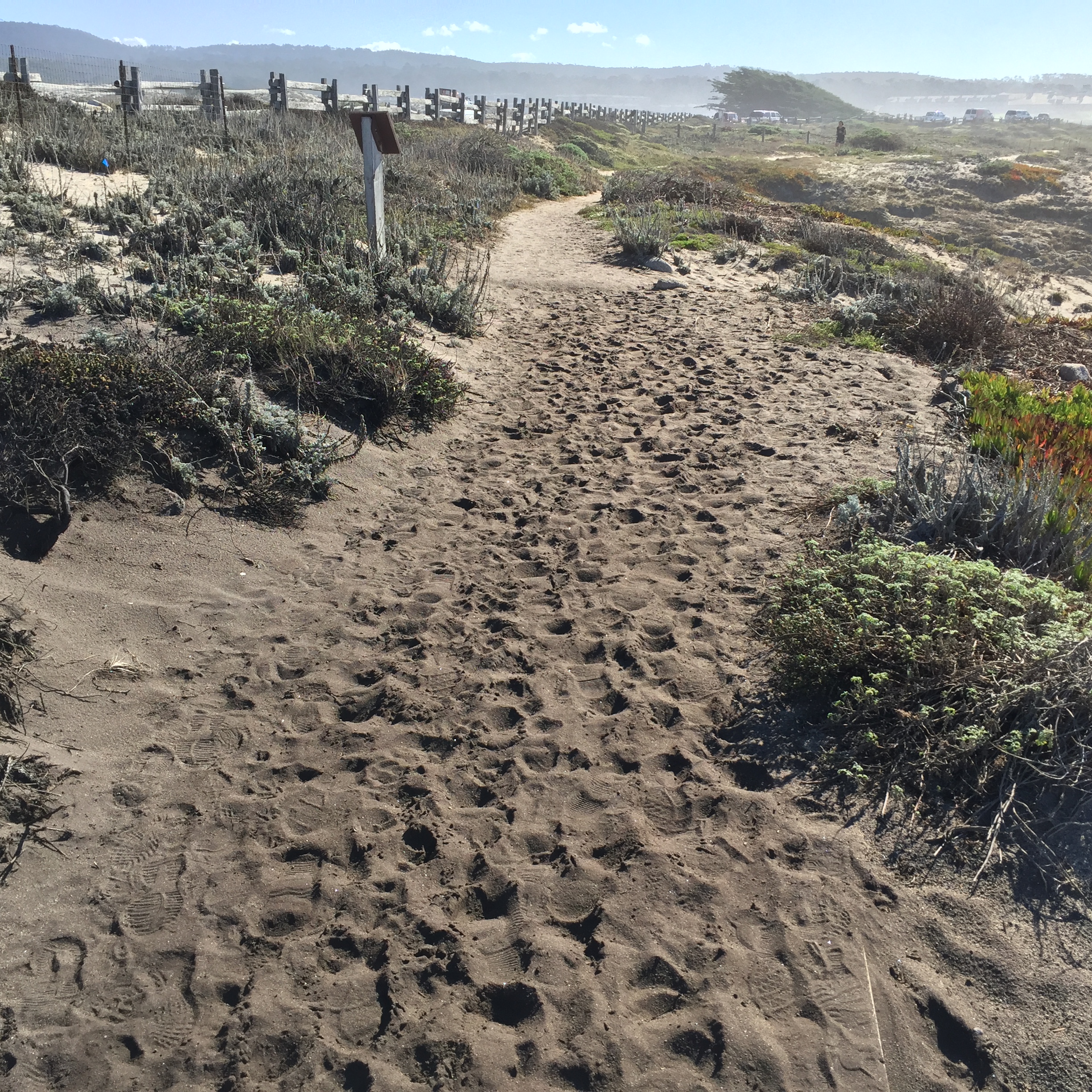 Asilomar Coast Trail: Current Project Description