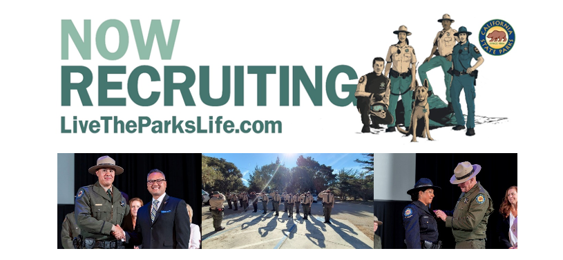 California State Parks Seeking Rangers and Lifeguards to “Live the ...